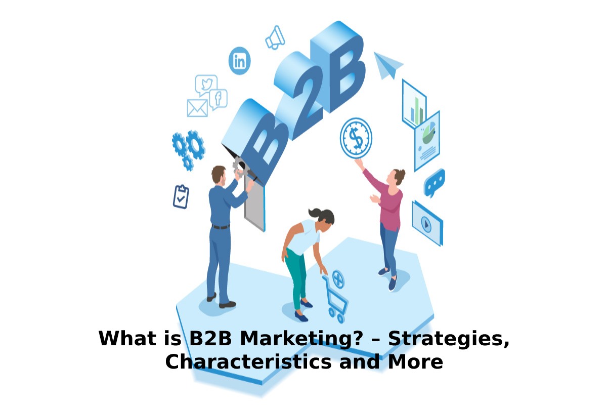 What is B2B Marketing? – Strategies, and Characteristics