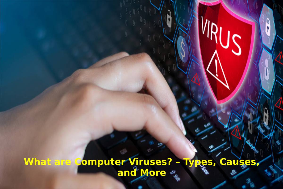 What are Computer Viruses? – Types, Causes, and More What are Computer Viruses? – Types, Causes, and More