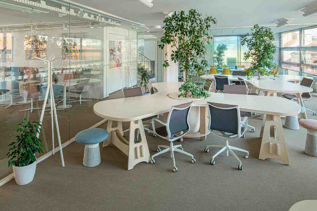 Strategic Office Design for Business Growth